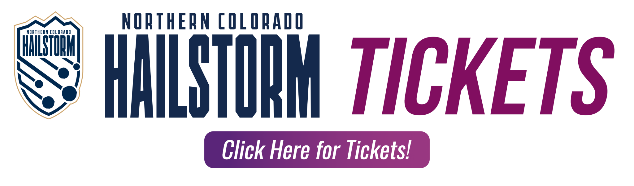 Ticketing - Future Legends Sports Complex